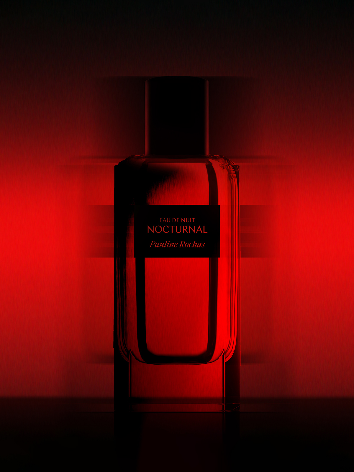 Nocturnal | Pauline Rochas